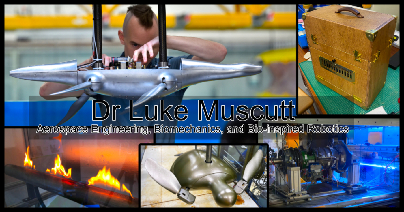 Background | muscutt.org